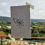 How To Transfer A Pattern With The Lightbox Method